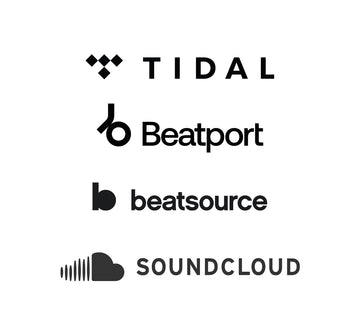 DDJ-FLX4 + DM-40D + HDJ-CUE1BT Bundle – Pioneer DJ Store