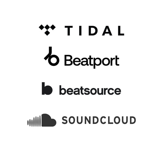 DDJ-FLX4 + DM-40D + HDJ-CUE1BT Bundle – Pioneer DJ Store